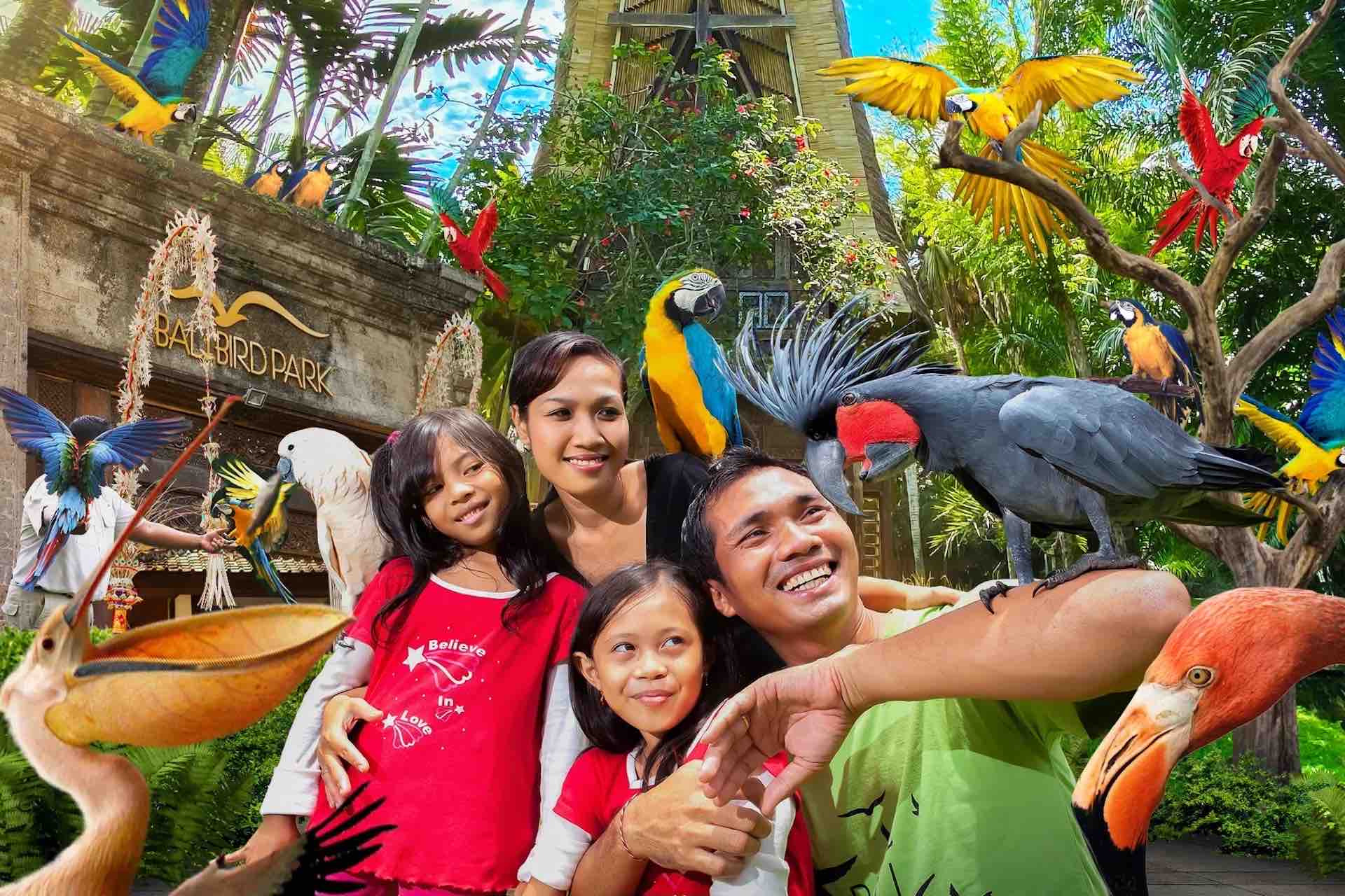 Bali Bird Park & Discover Ubud Tour | Tao Travel 365
